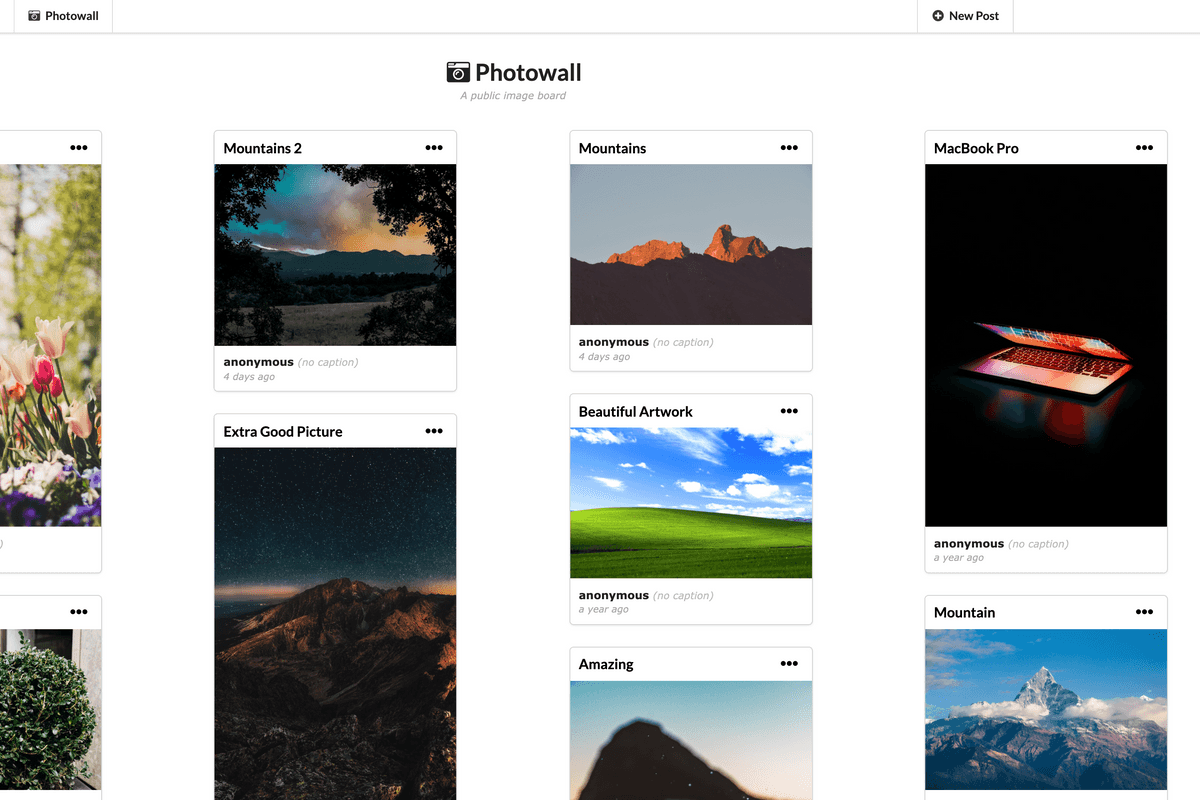 Mark Schnabel - Software Developer