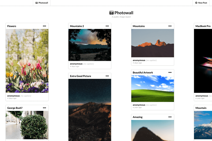 Mark Schnabel - Software Developer